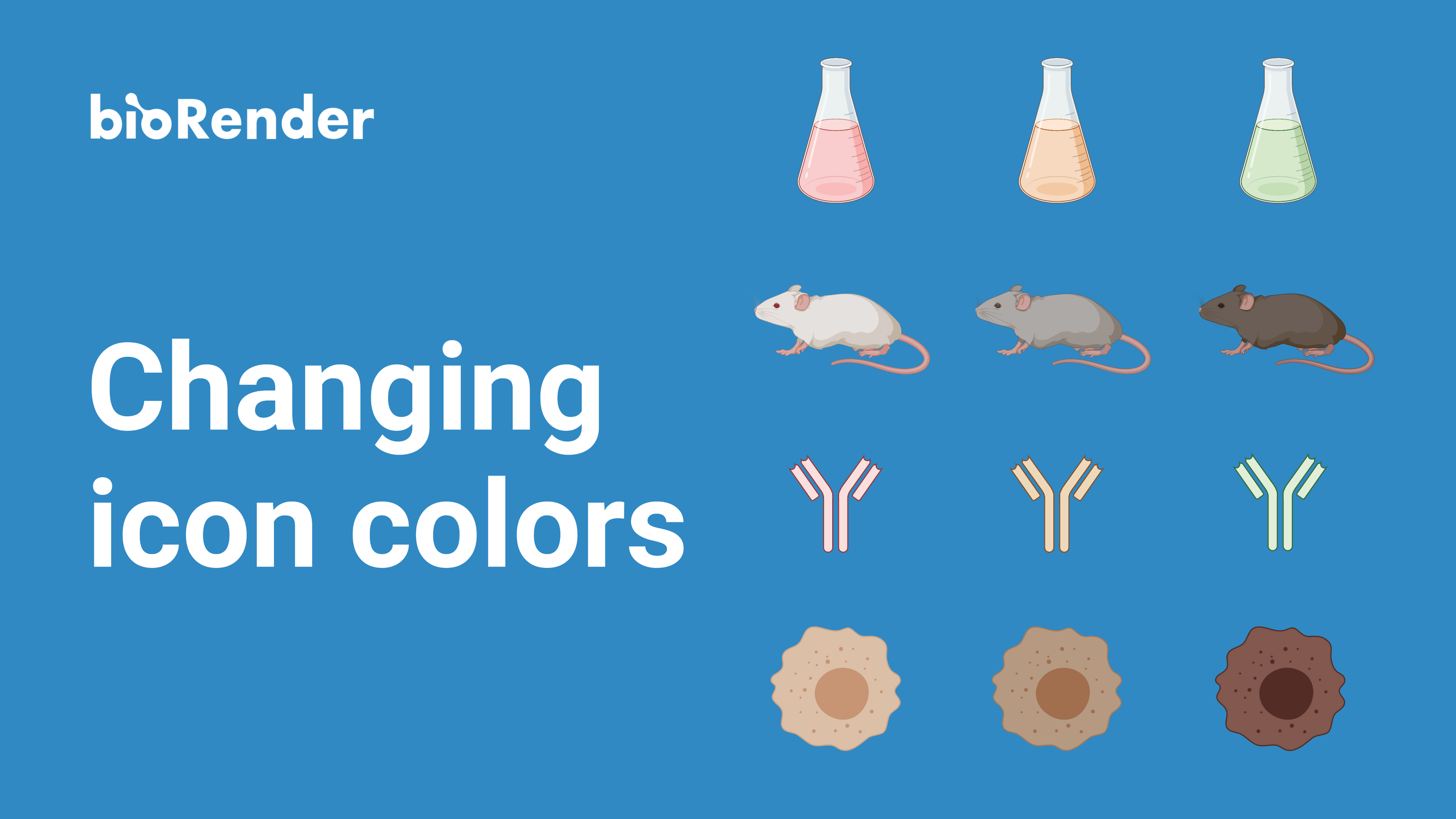 BioRender | Learning Hub